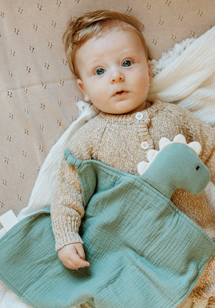 Organic Muslin Dinosaur Lovey – Over the Dandelions