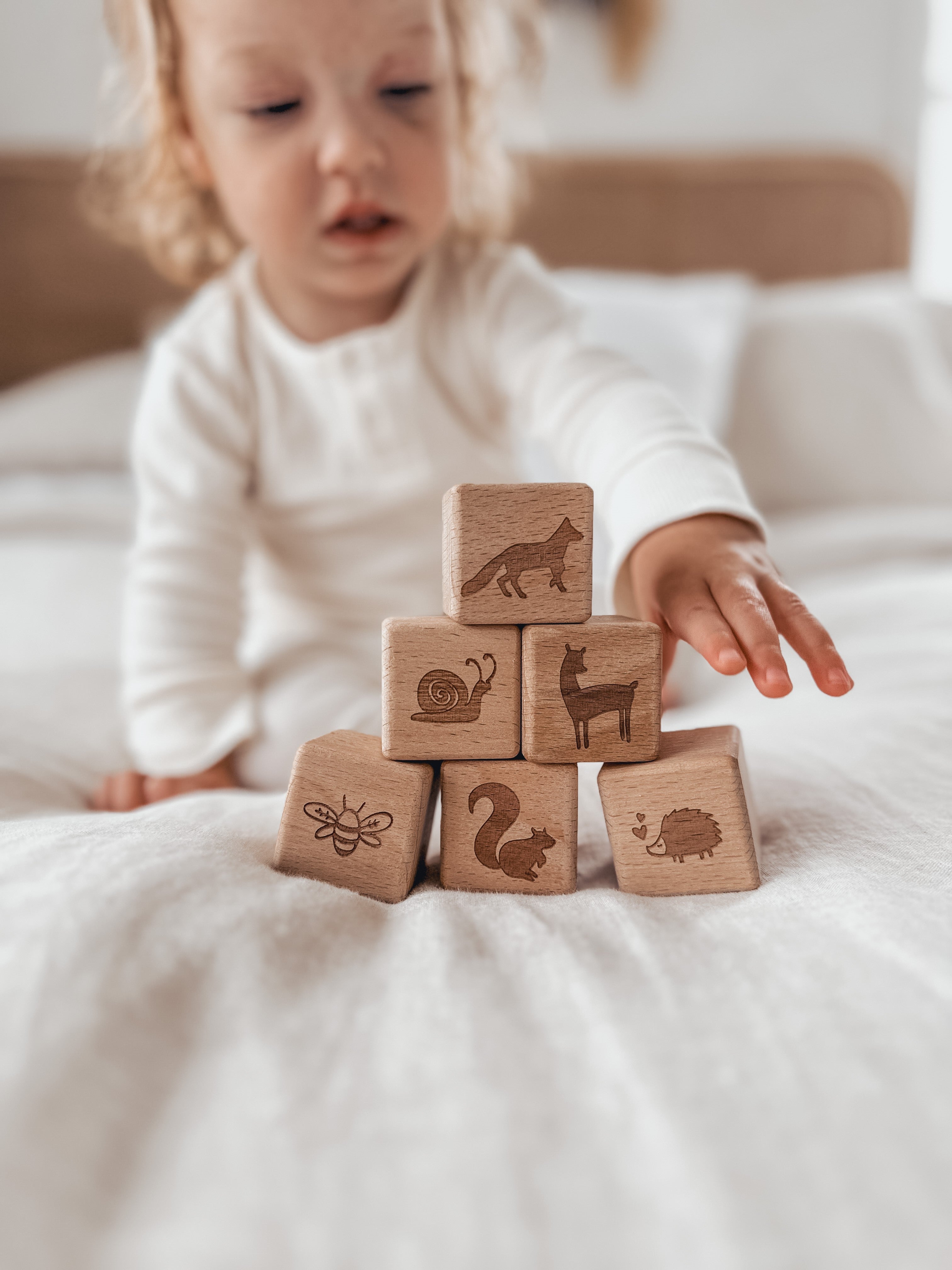 Whimsical Woodlands Wooden Block Set – Over the Dandelions